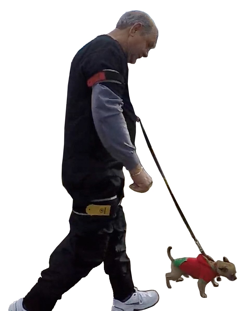 B3 Blood Flow Restriction Bands For Muscle Growth, Weight Loss, Better ...